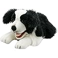 Amazon.com: The Puppet Company Playful Puppies Border Collie Hand ...