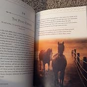 Unbridled Faith: 100 Devotions from the Horse Farm: Whitney, Cara, Dan ...