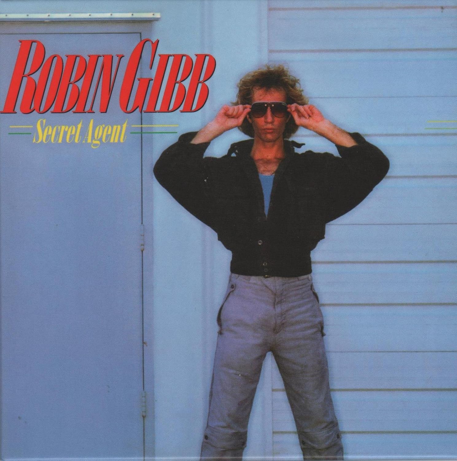 Secret Agent - Robin Gibb
