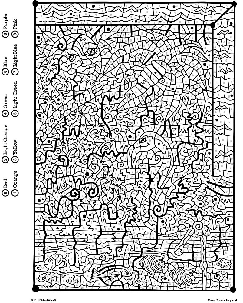 Color Counts: Tropical - Buy Online in UAE. | Toys And Games Products ...