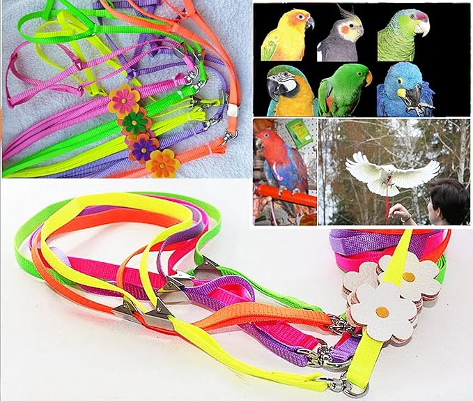 Amazon.com : Beauty Parrot Adjustable Bird Harness and Leash Anti-bite ...