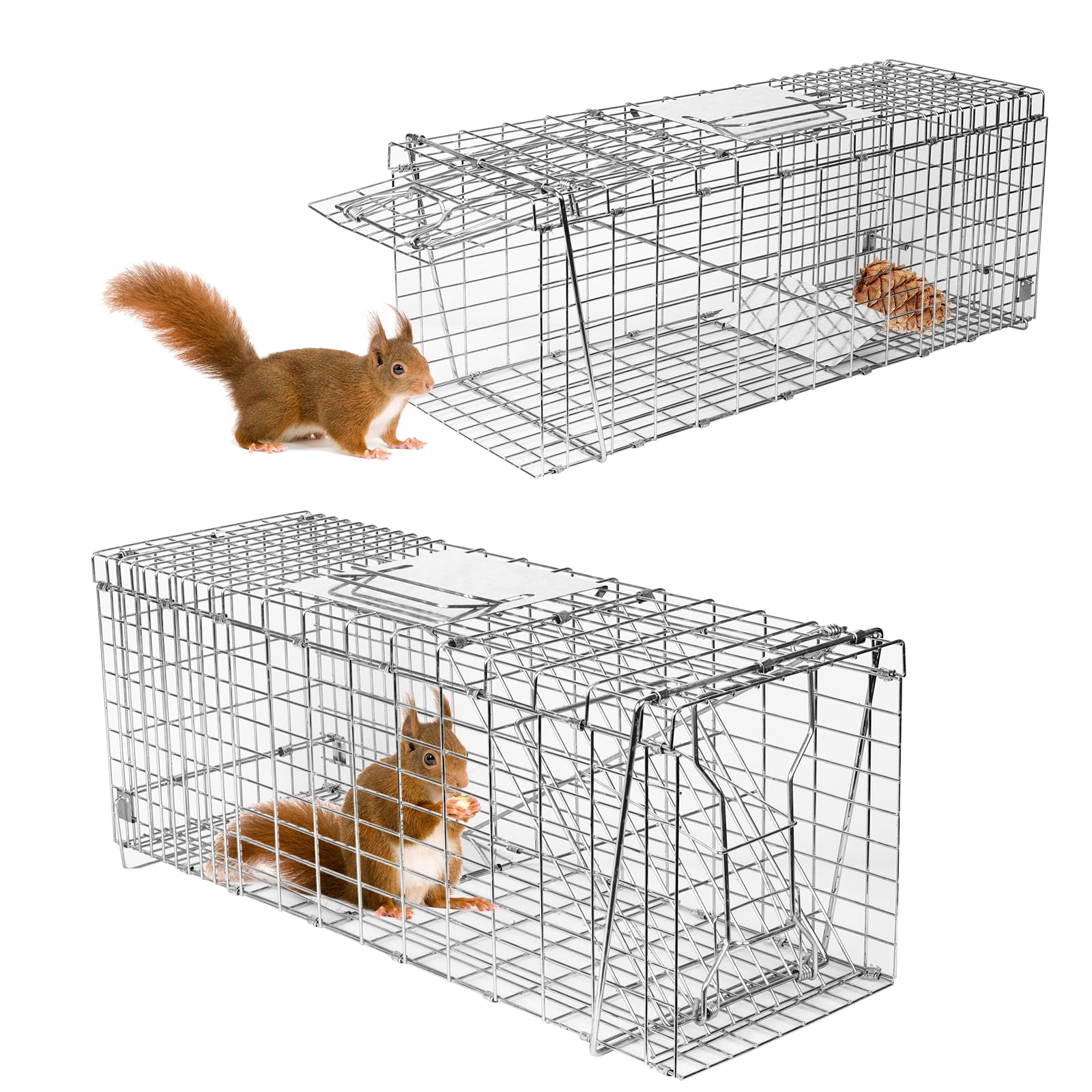 Animal Trap Cage, 26 Inch Live Traps for Raccoons Heavy Duty, Cat Trap ...
