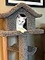 Amazon.com : New Cat Condos Premier Large Cat Pagodas Tree, Gray : Pet ...