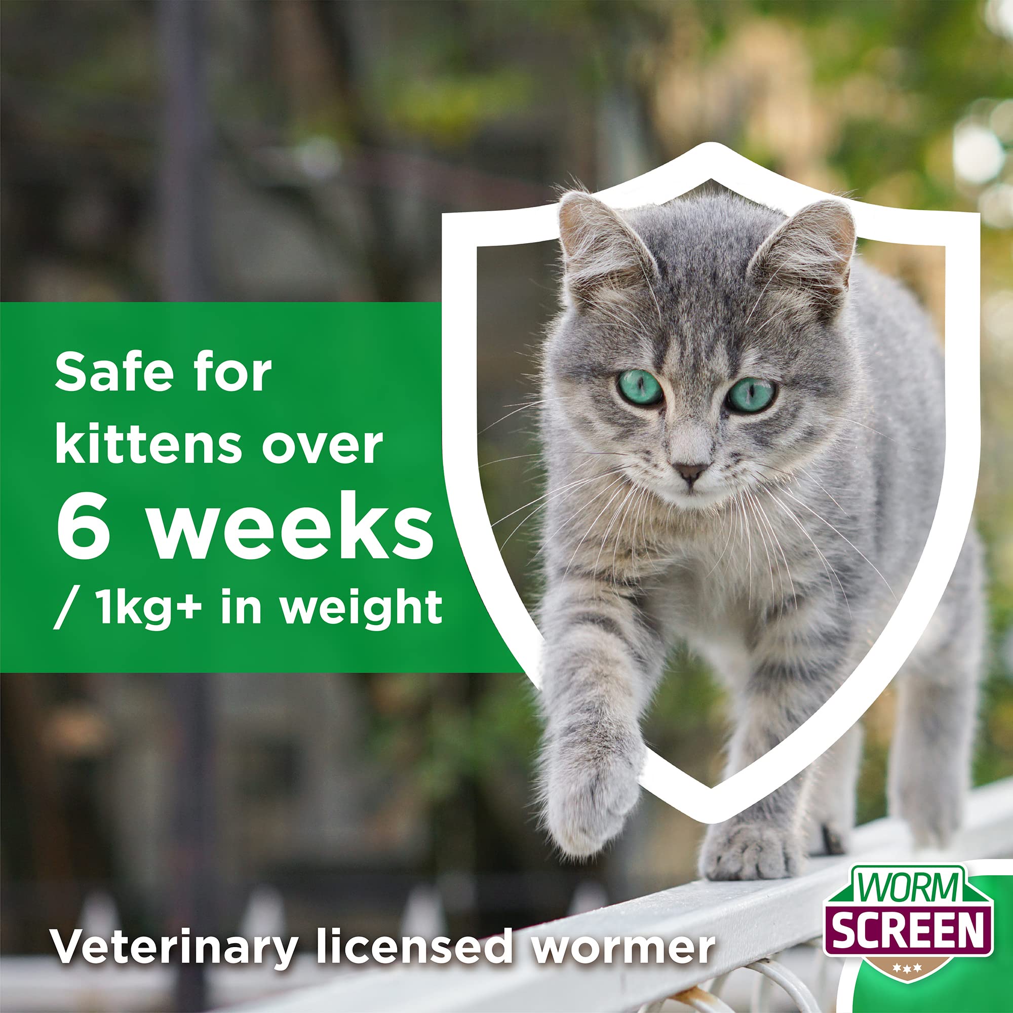 Mua WORM SCREEN Cat (2 tablets): Cat Worming Treatment - Veterinary ...