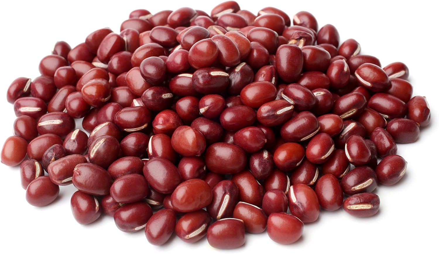 Amazon.com : Adzuki Bean Sprouting Seeds - Non-GMO - 8 Ounces : Garden & Outdoor