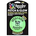Fetch & Glow Ball Large : Amazon.ca: Pet Supplies