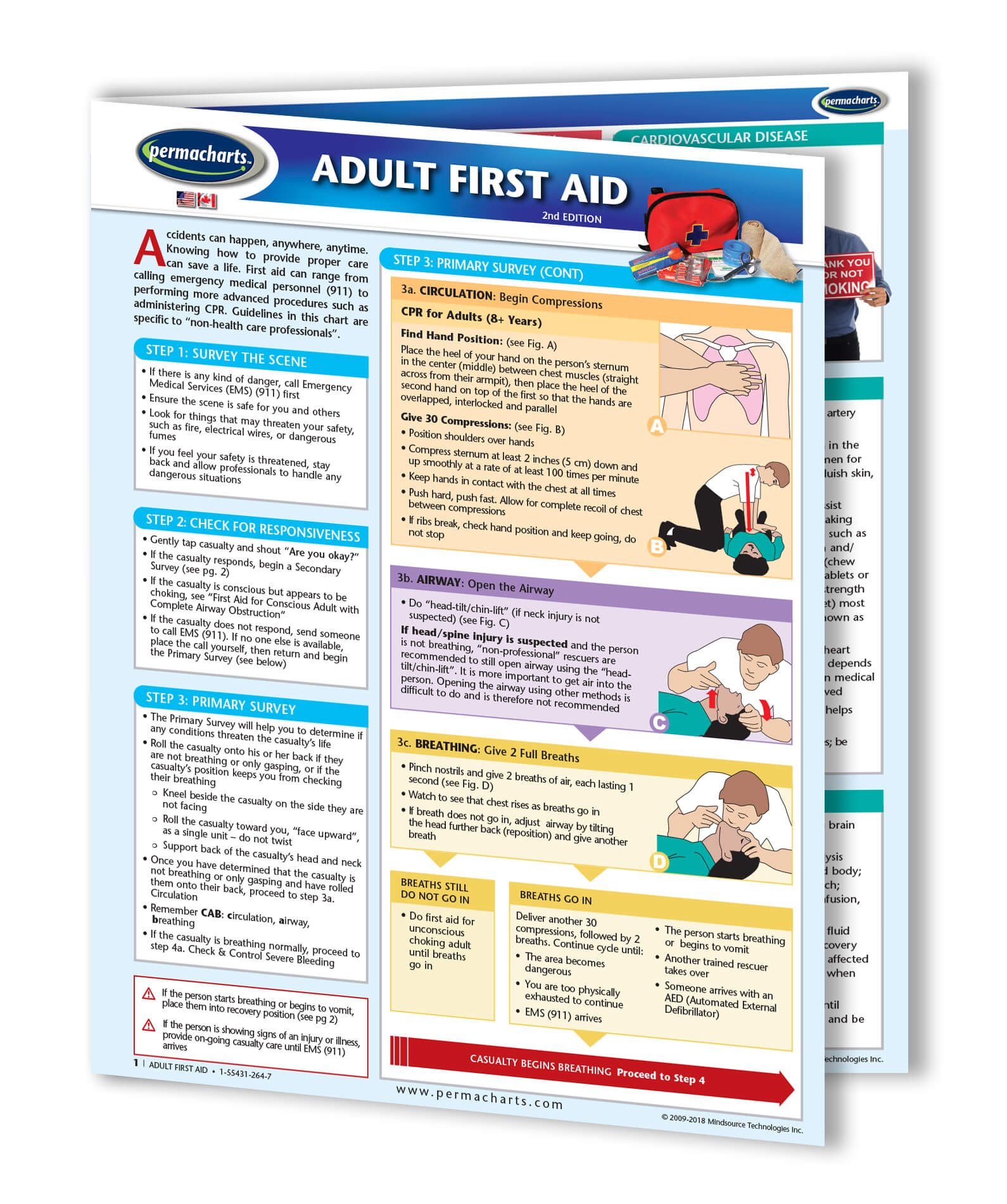 Mua Adult First Aid Guide - Medical - Emergency Quick Reference Guide by Permacharts trên Amazon ...