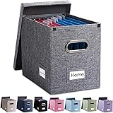 Amazon.com: Prandom File Organizer Box - Set of 1 Collapsible ...