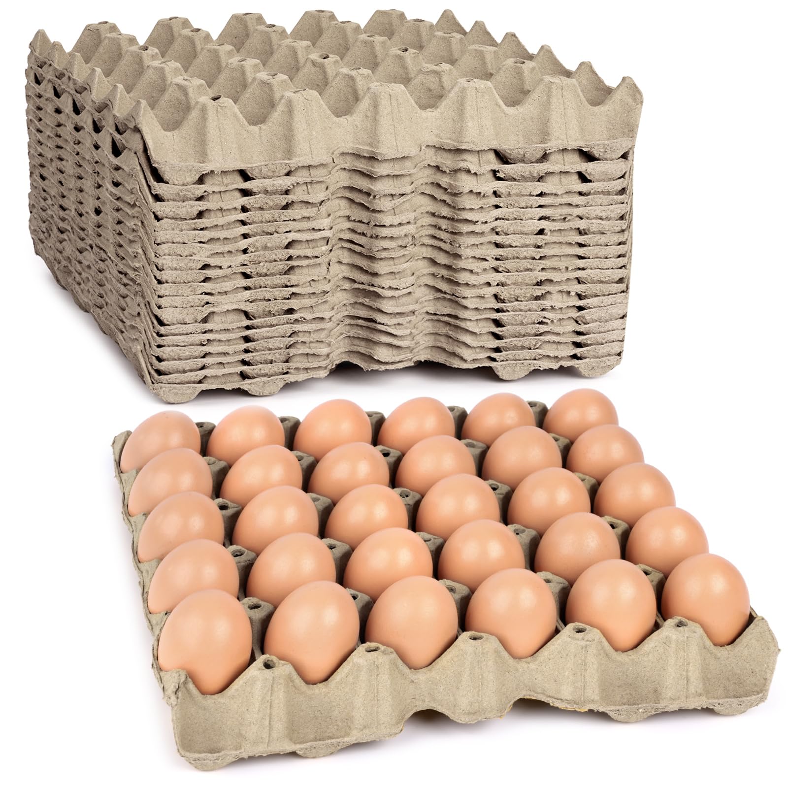HANSGO 18PCS Egg Crates, Egg Flat Cartons Holds 30 Eggs Paper Egg ...