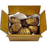 Fresh Taro Root 10 Lbs, Small Size: Amazon.com: Grocery & Gourmet Food