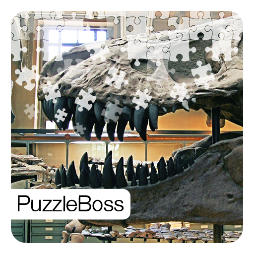 Dinosaur Fossil Jigsaw Puzzles:Amazon.com:Appstore for Android
