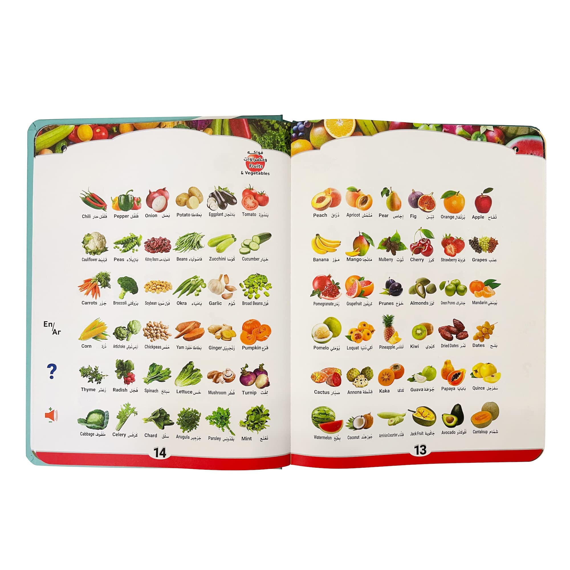 Mua Arabic Alphabet Book for Kids with English Translations, Learn ...