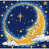 Amazon.com: Dimensions Needlepoint Kit, Hummingbird Needlepoint, 5'' W ...