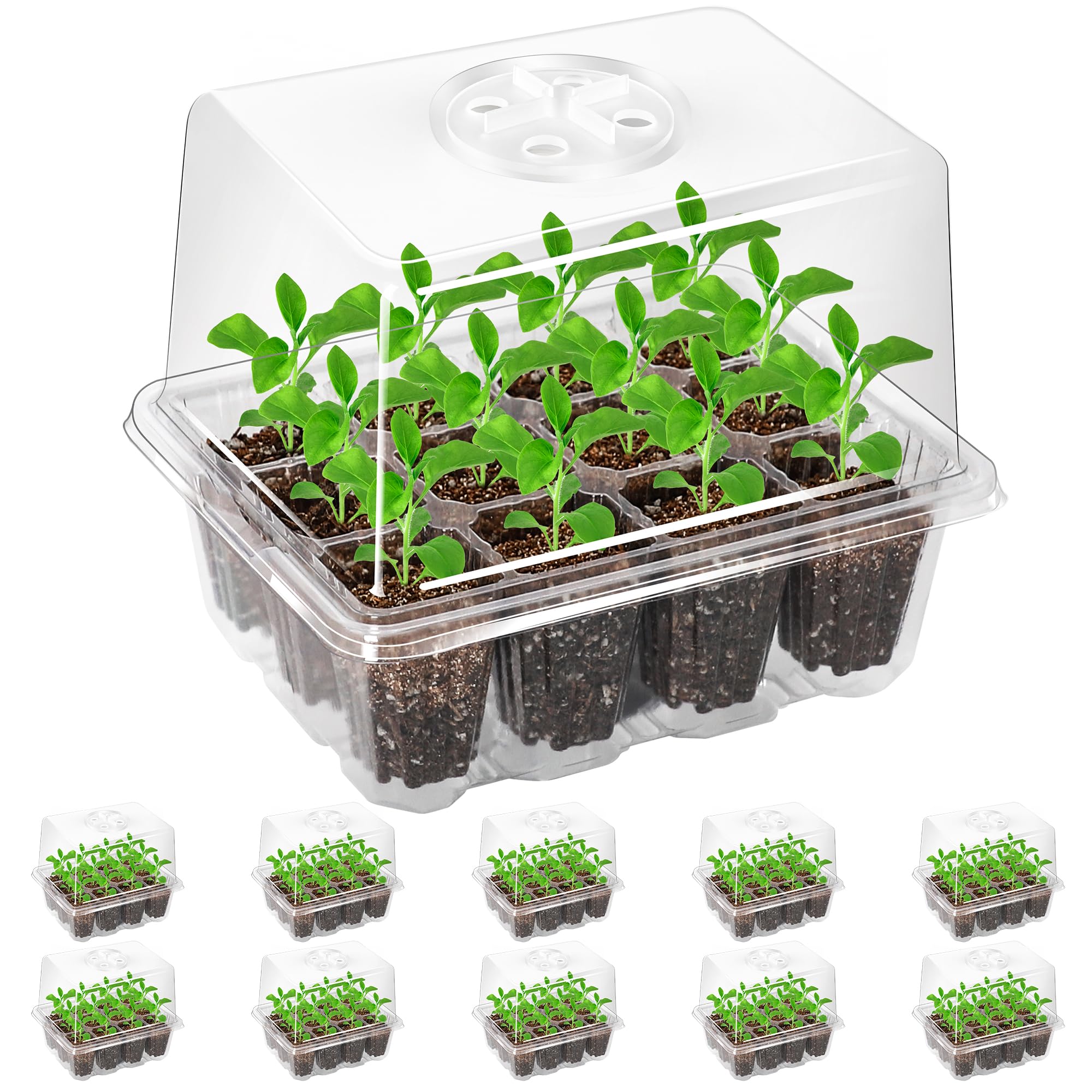 Bonviee 10 Packs Seed Starter Tray with Elevated Lid, 120 Cells Thicken ...