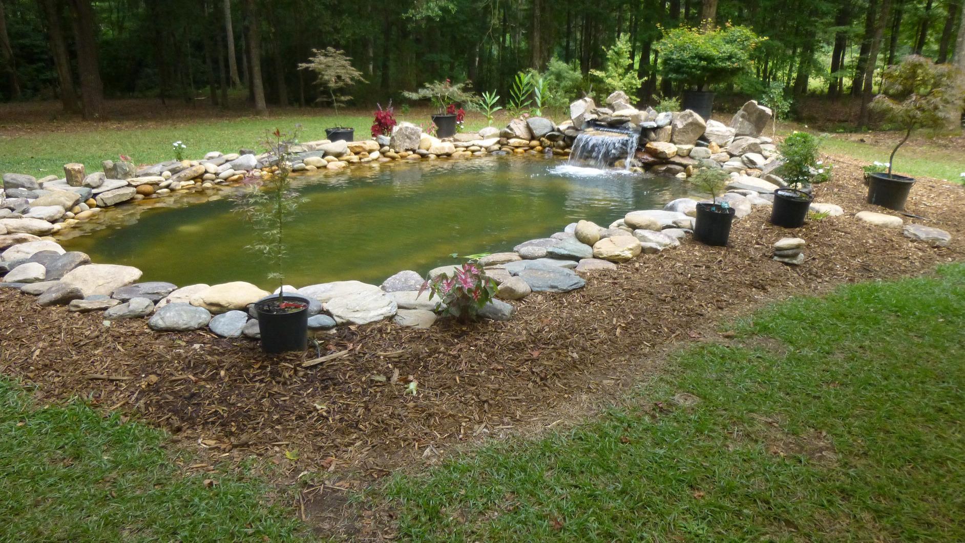 $53/mo - Finance HALF OFF PONDS Complete PRO 5200 Water Garden and Pond ...
