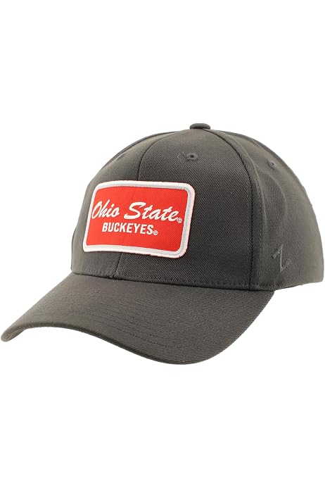 Ohio State Beanie Fgcu Snapback Zephyr NCAA Officially Licensed ...
