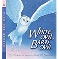 White Owl, Barn Owl: Read and Wonder: Davies, Nicola, Foreman, Michael ...