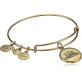 Amazon.com: Alex and Ani "NFL" San Francisco 49ers Logo Expandable Wire Rafaelian Gold-Tone ...
