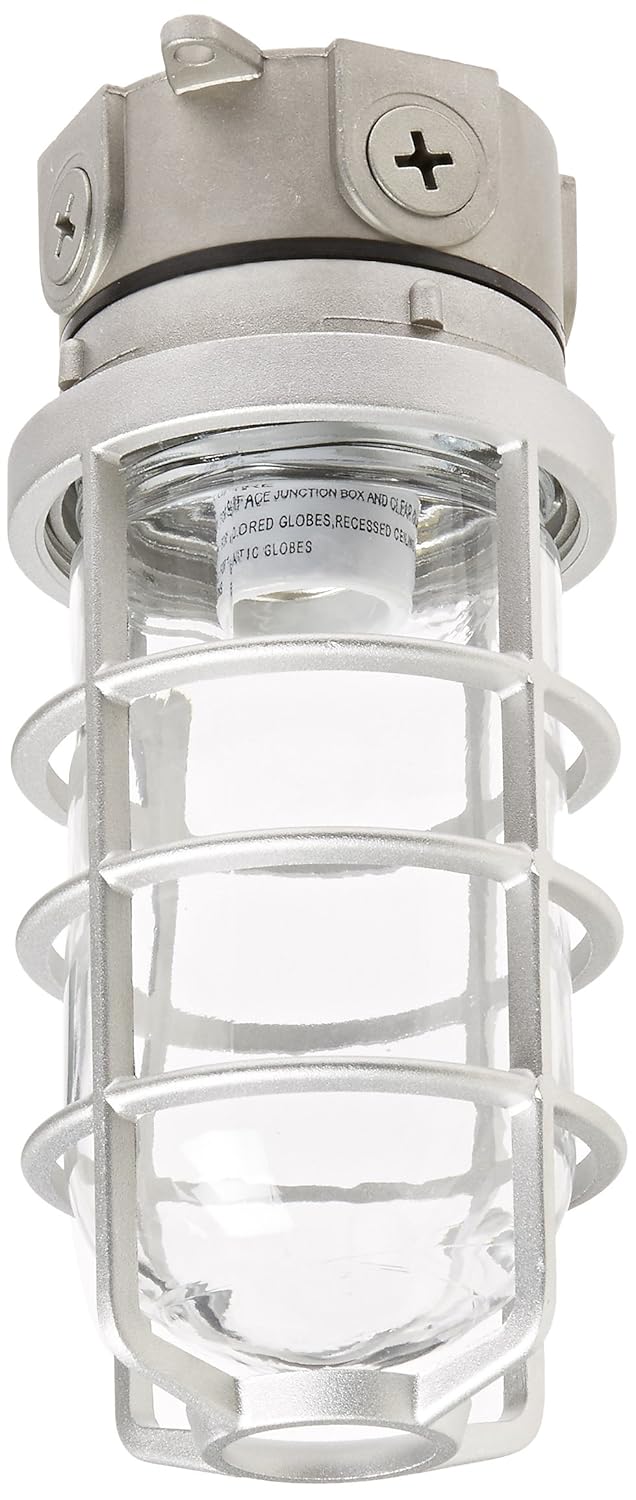 RAB Lighting VLX100DG Vaporproof VLX 3" Ceiling Box Mount with Glass ...