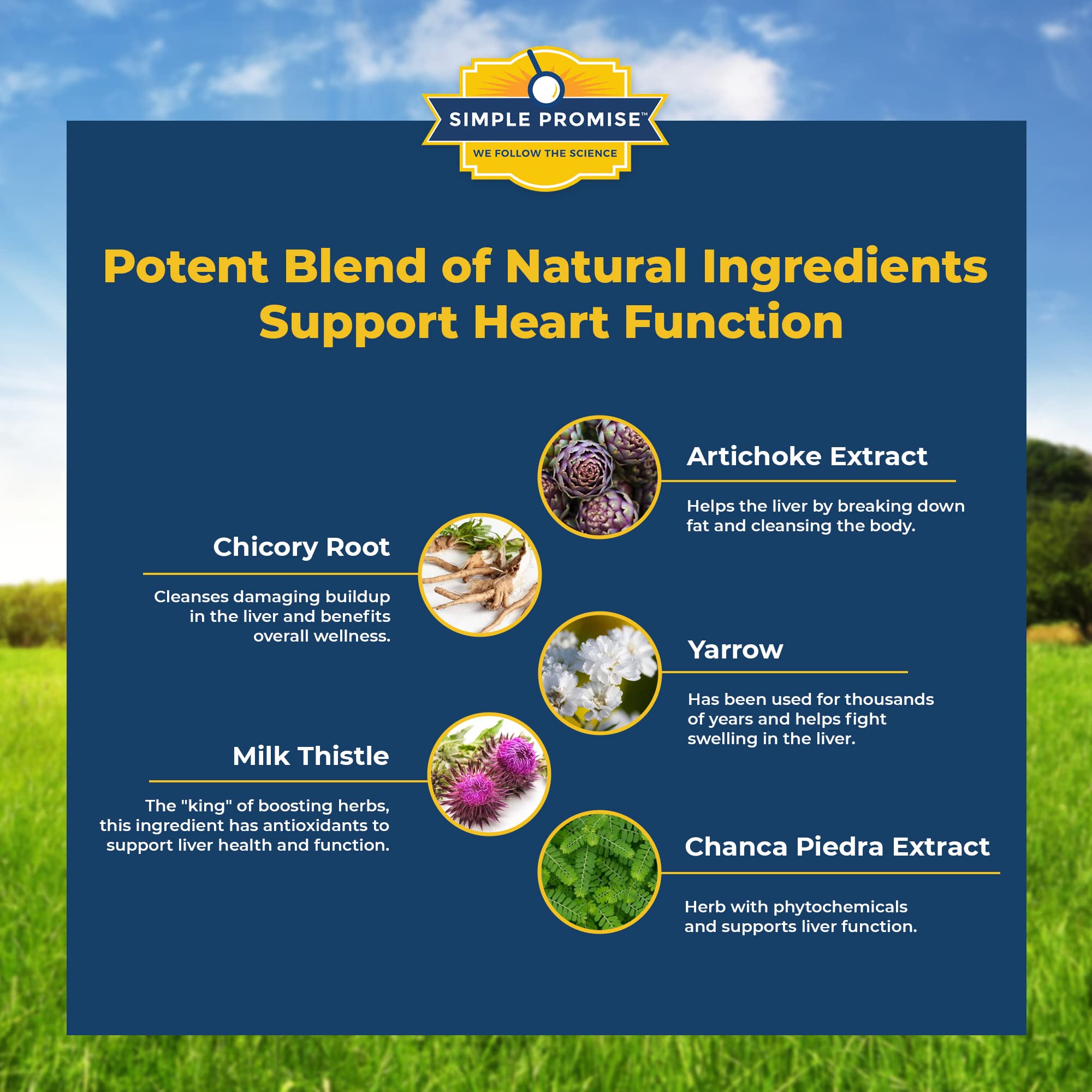 Mua Simple Promise Levitox - Milk Thistle Liver Detox Supplement with ...