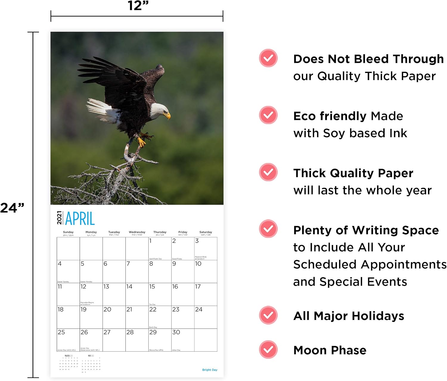 2021 Bald Eagles Wall Calendar by Bright Day, 12 x 12 Inch, Birds ...