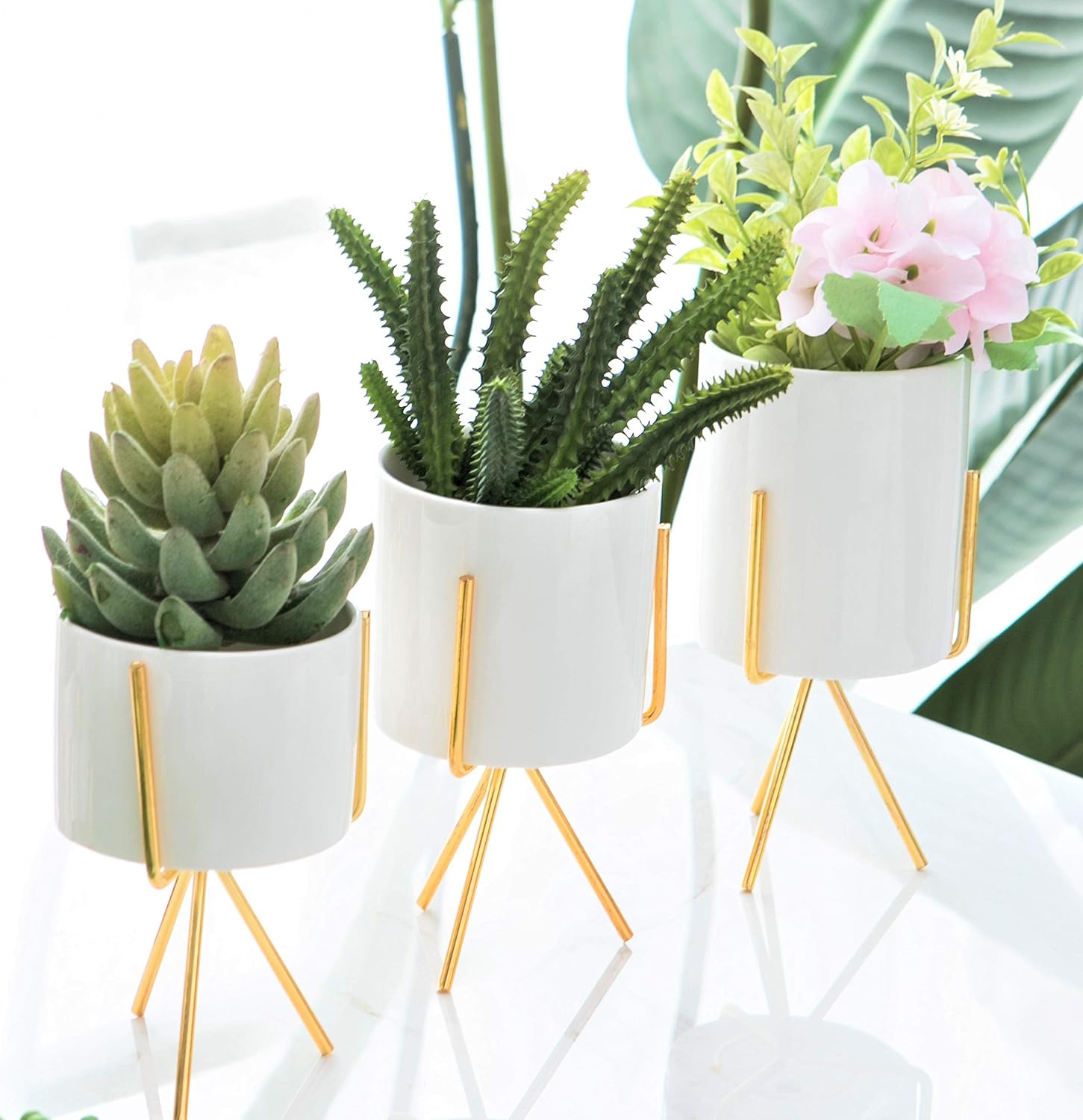 Amazon.com: Small Succulent Pots - 3 Pack Set, 3.2 Inch, White ...