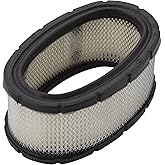 Amazon.com: Briggs & Stratton 399806S Oval Air Filter Cartridge ...