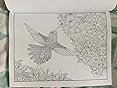 Amazon.com: Hummingbirds & Flowers Adult Coloring Book (Beautiful Adult ...