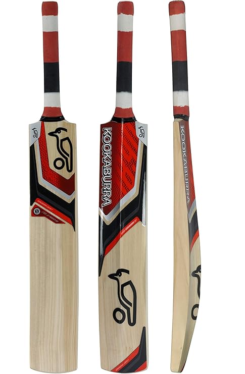 Kookaburra Red Kashmir Willow Cricket Bat (Standard Size): Amazon.in ...
