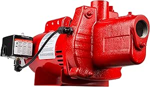 Red Lion RJS-100-PREM 602208 Premium Cast Iron Shallow Jet Pump for ...