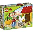 Amazon.com: LEGO Duplo Legoville Chicken Coop 5644 : Toys & Games