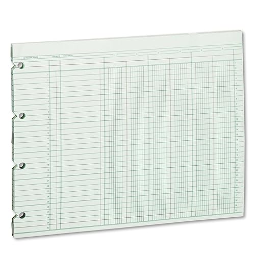 Accounting Sheets, Six Column, 9-1/4 x 11-7/8, 100 Loose Sheets/Pack ...