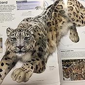 Animal!: DK, Smithsonian Institution: 9781465453358: Amazon.com: Books