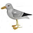 Amazon.com: HAND CARVED WOOD DOCKSIDE SEAGULL ART TROPICAL NAUTICAL ...