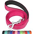 Amazon.com : FunTags 6FT Reflective Dog Leash with Soft Padded Handle ...
