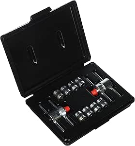 Amazon.com: Robinair 12458 Process Tube Adapter Kit : Automotive