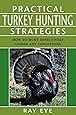 Practical Turkey Hunting Strategies: How to Hunt Effectively Under Any ...
