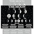 Amazon.com: Moon Phases Poster with Fun Facts- Laminated 14x19.5 ...
