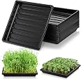 Amazon.com : Tlence 10 Pack Plastic Growing Trays, 10.6"x10.6" Garden ...