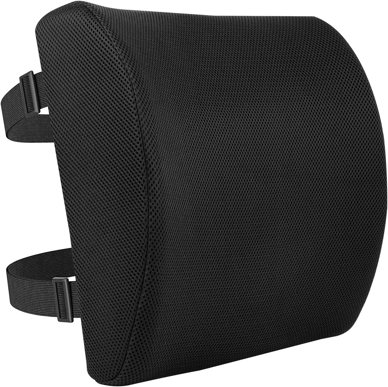 AmazonBasics Memory Foam Back Support Cushion – BigaMart