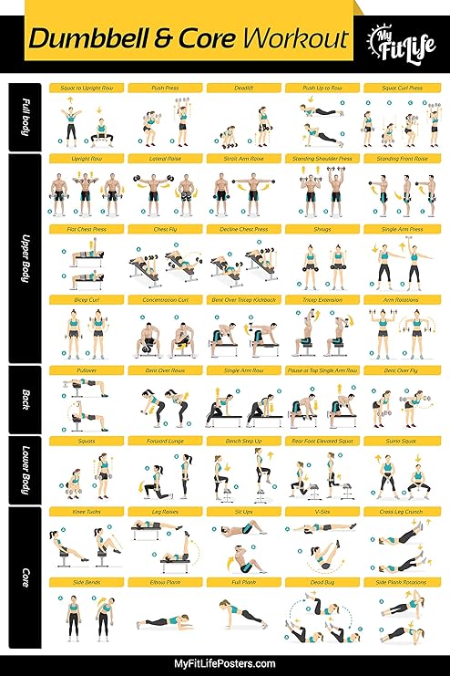 Buy My Fit Life Gym Dumbbell and Core Workout Poster Laminated ...