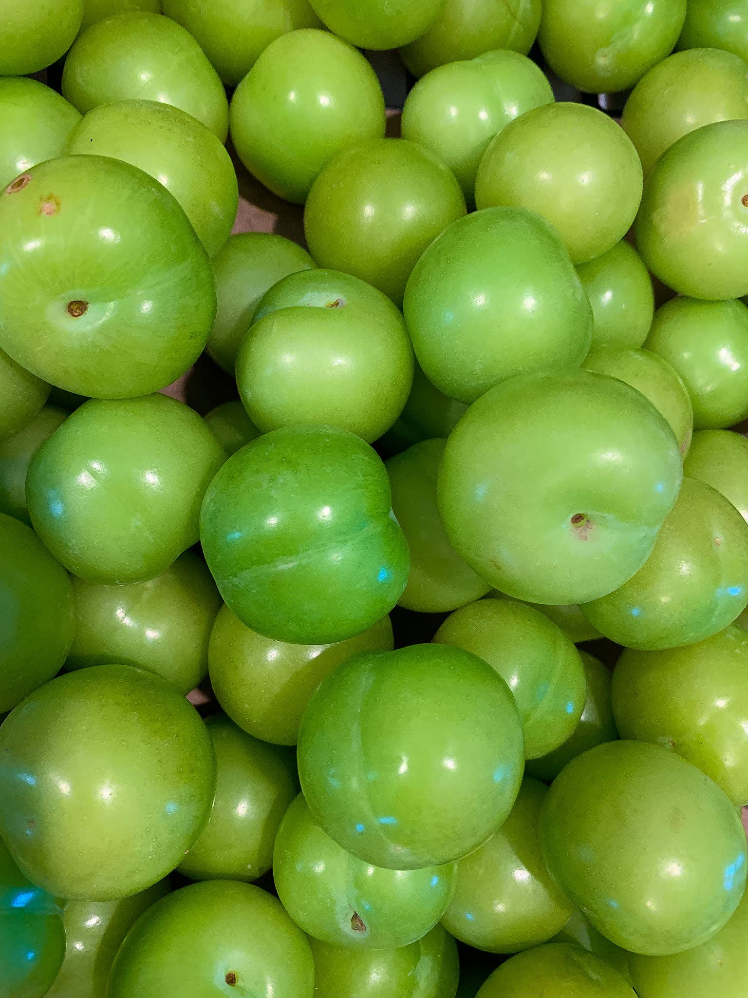 Fresh Fruits Kuwait | Buy Online | Whizz Others