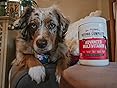 Amazon.com : VetPro Dog Vitamins and Supplements - Pet Multivitamins ...
