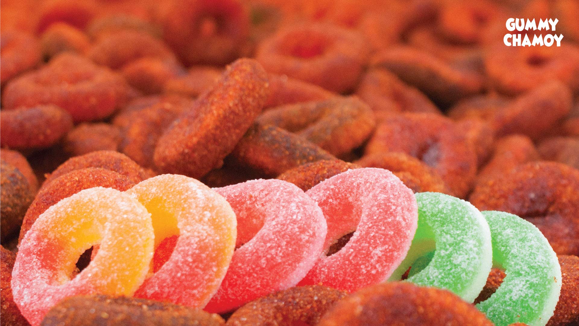 Amazon.com : GUMMY BEARS Coated in our Signature Chamoy Flavored Spice ...