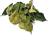 Kaffir Lime Leaves Freeze-Dry: Amazon.co.uk: Grocery