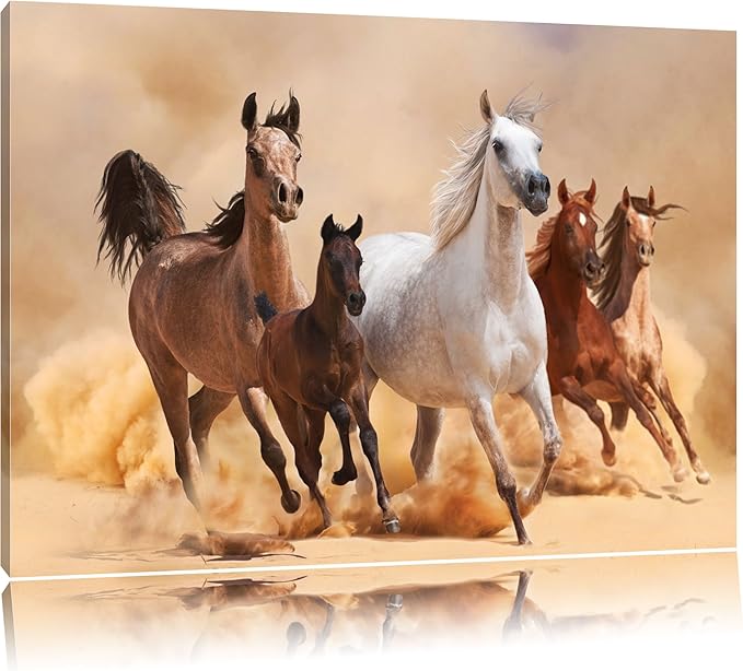 Amazon.de: Western Pferde in Wüste mit Fohlen Format: 100x70 auf ...