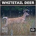 Amazon.com: MICASA PRESS - Whitetail Deer 2025 Wall Calendar 12 Month ...
