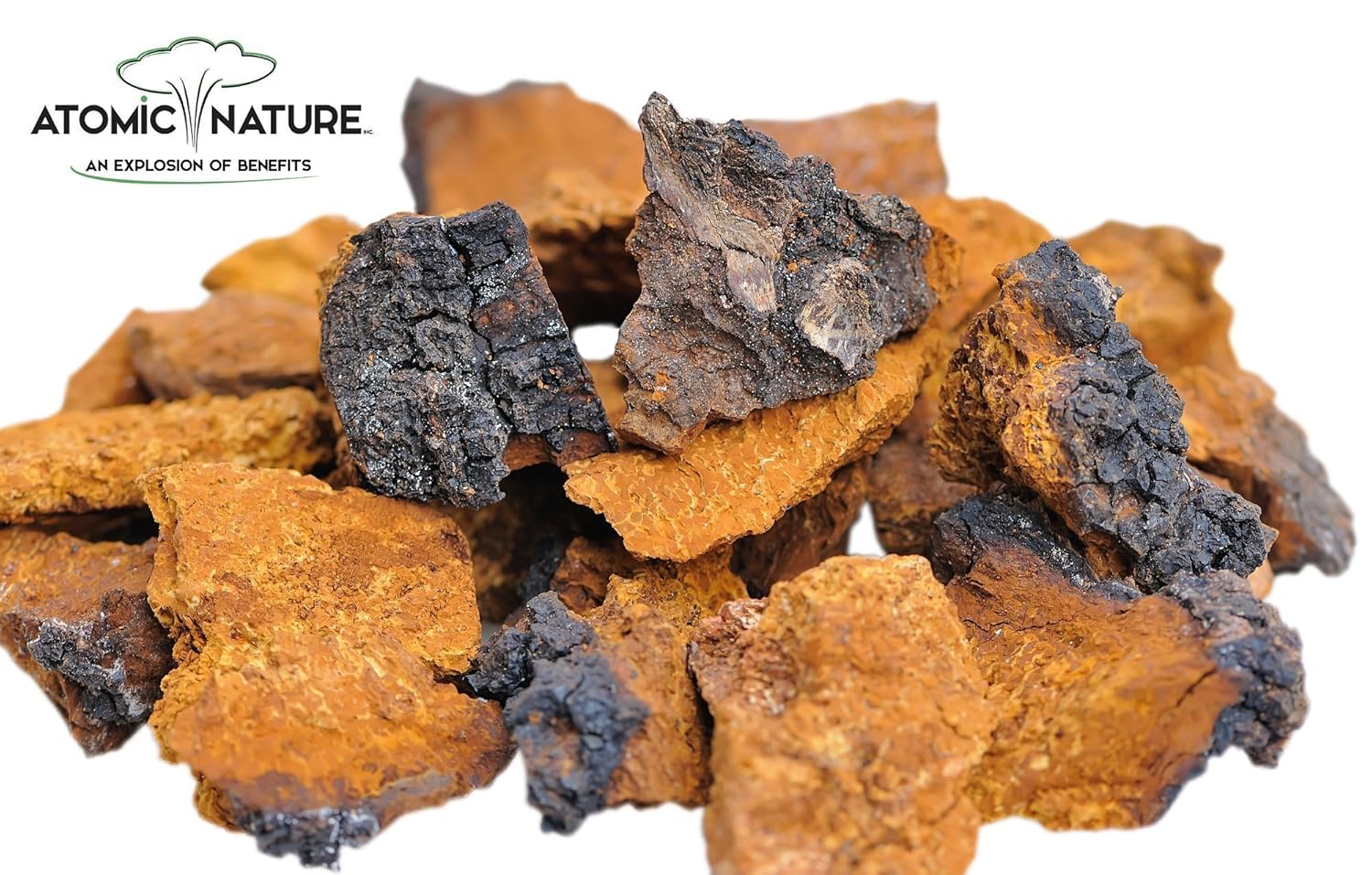 4oz Raw Organic Wild Chaga Mushroom Tea Chunks – 100% Natural Hand ...