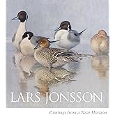 Birds and Light: Jonsson, Lars: 9780691114897: Amazon.com: Books