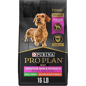 Cual Es La Mejor Comida Seca Para Perros